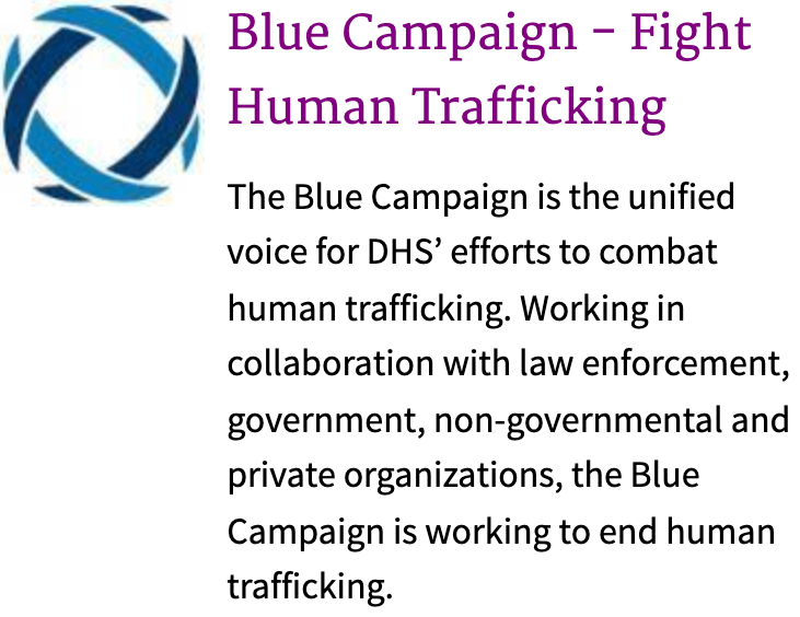 Action - Lynn's Warriors